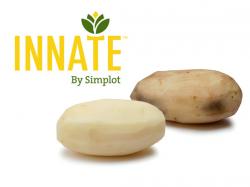 Health Canada, CFIA Approve Genetically Engineered Potato With Reduced ...