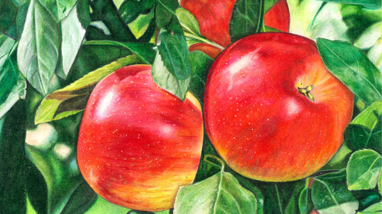 The Washington Apple Education Foundation (WAEF) Announces 2025 Year of ...