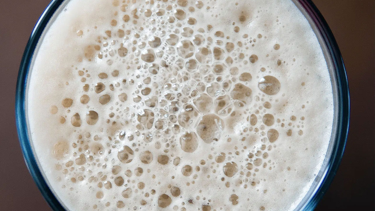 Cayuga Milk Ingredients Opens New Consumer Goods Plant in $270M ...