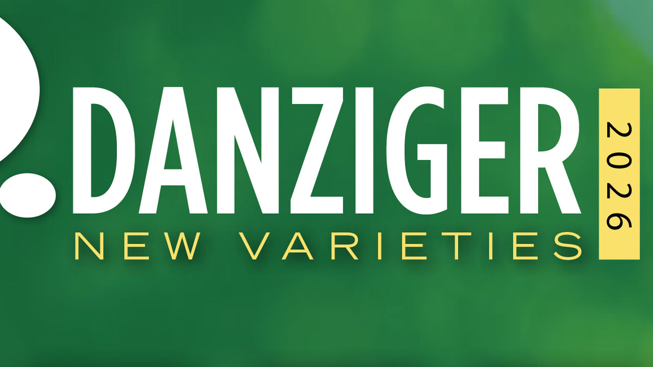Danziger is Putting the WOW in 2026 - Perishable News