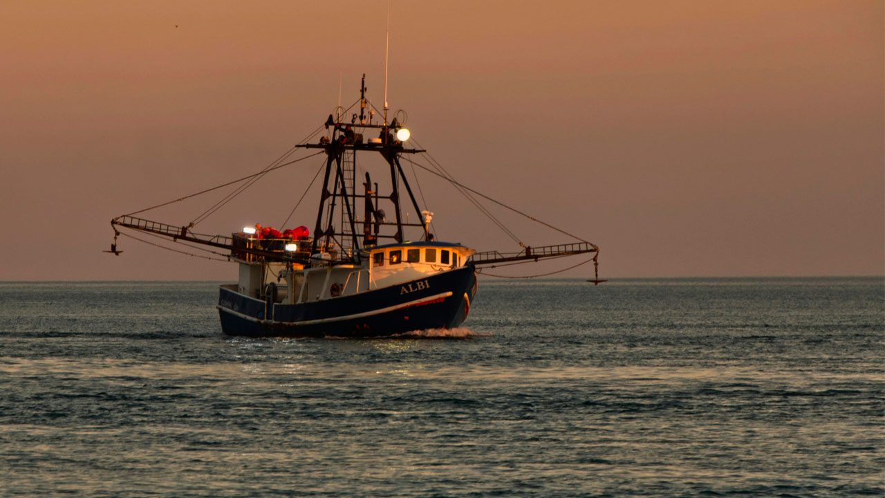 South Carolina Shrimpers Sue 25 Restaurants for ‘Shrimp Fraud,’ Saying ...