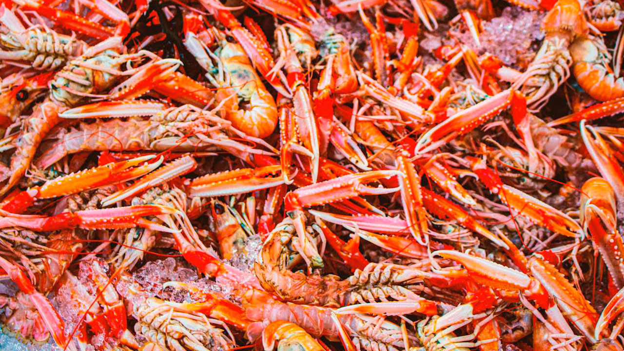 Canadian Owners Sell Key Island Seafood Business - Perishable News