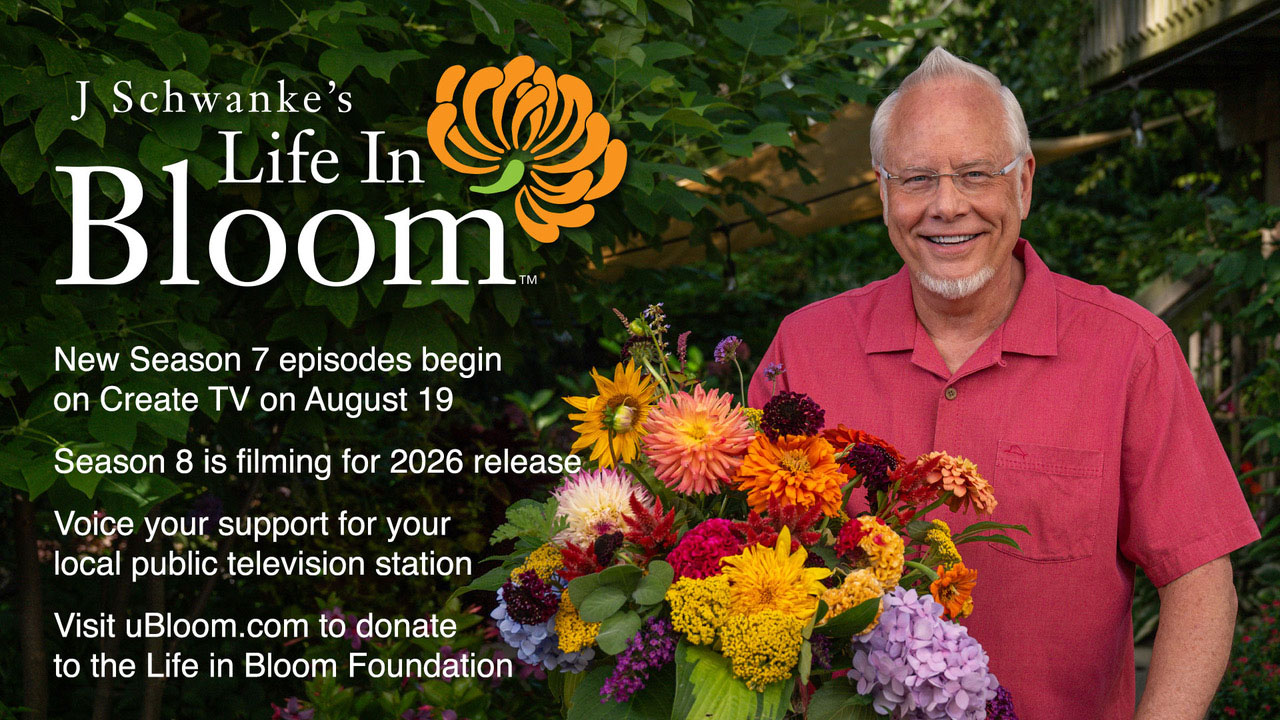 J Schwanke's Life in Bloom Debuts New Episodes on Create TV ...