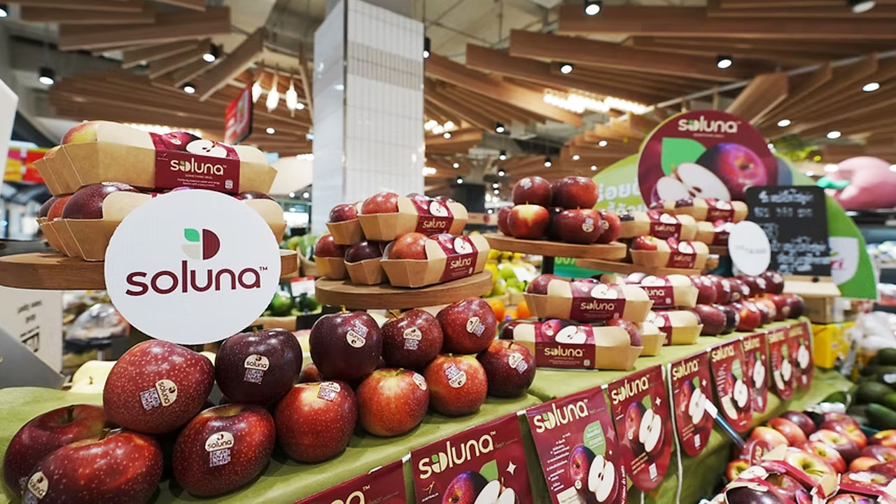 Australian Soluna Apples Make Their Debut in the United States ...