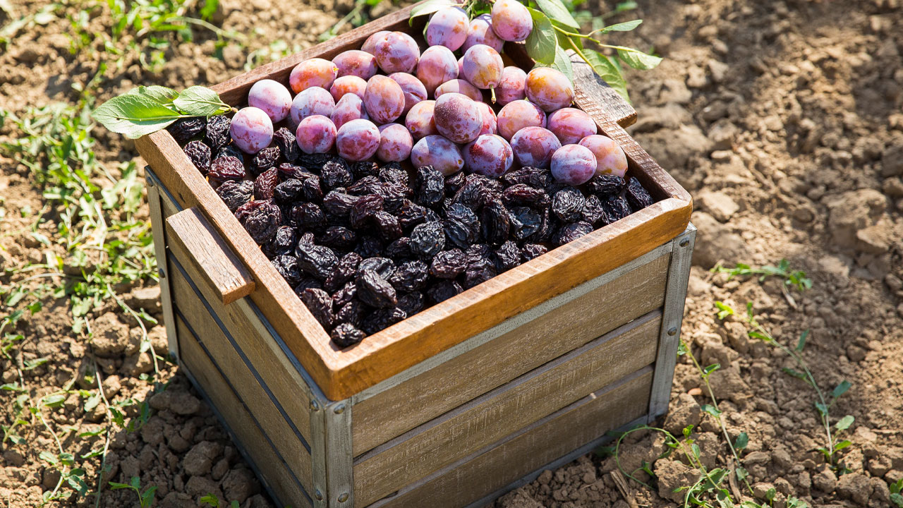 How the California Prune Board is Powering Efforts to Sustain the ...