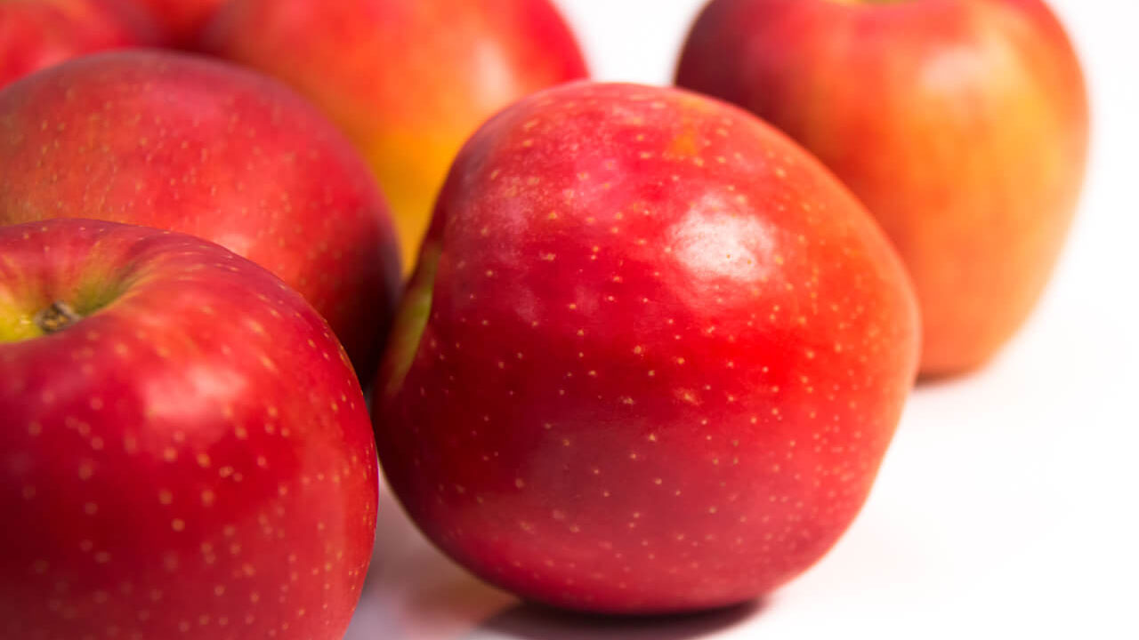 2025 SnapDragon Apple Harvest Promises More Monster - Perishable News