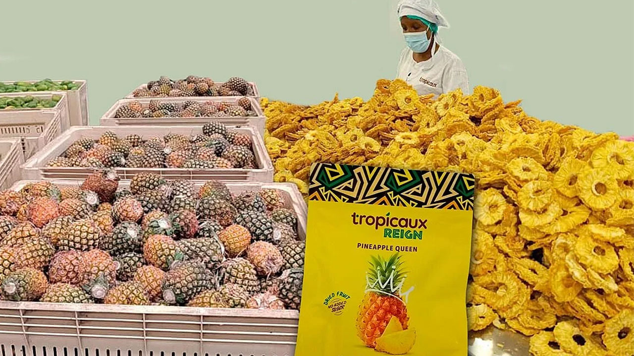Tropicaux in Guinea Uses KRONEN Technology to Process Pineapple and ...