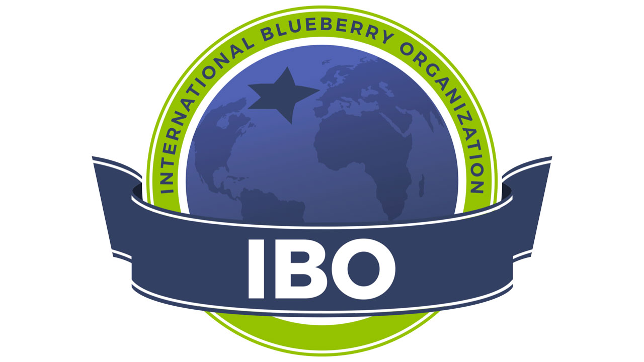 The International Blueberry Organization (IBO) Proudly Concluded the ...