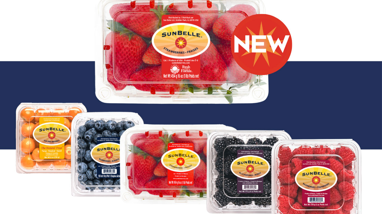 Sun Belle Expands Strawberry Program with New Central Florida Winter ...