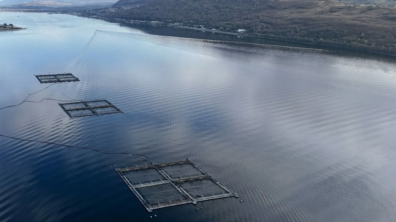 The River Lochy Association and Mowi Scotland Announce Wide-Ranging Study to Monitor Impacts ...