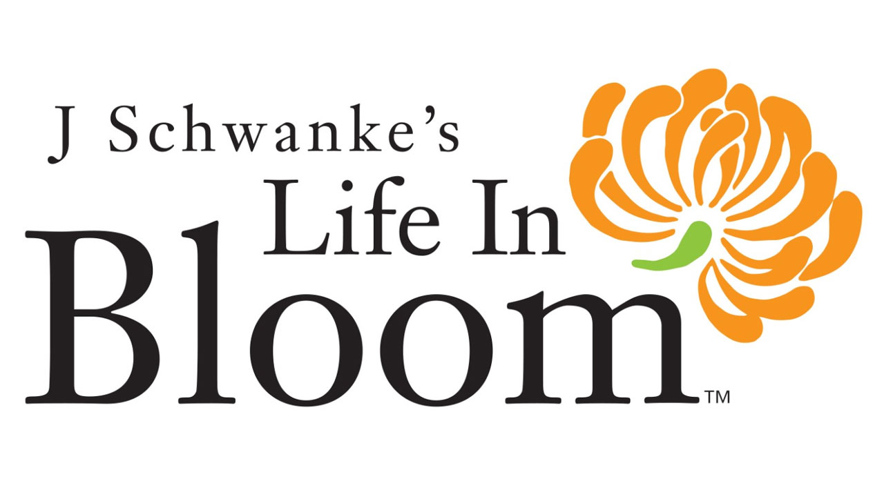 'Life in Bloom' Marathon on Create TV Reaches 116.8 Million U.S ...