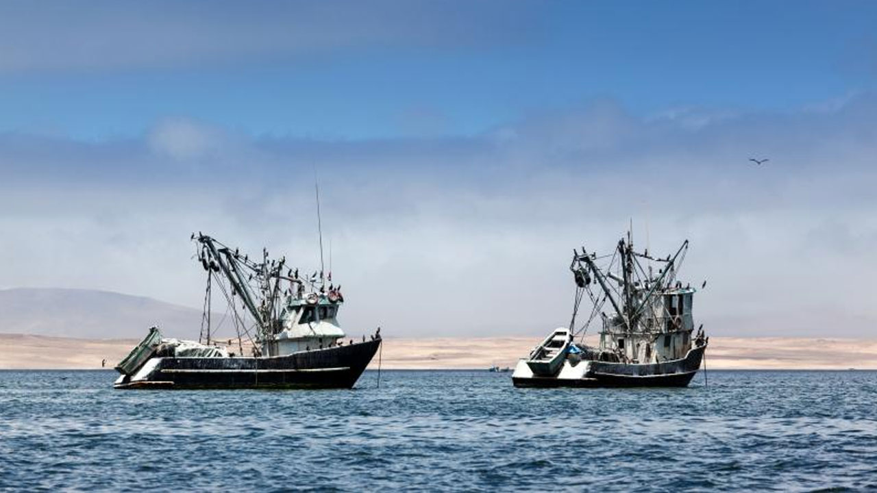 NOAA Fisheries Halts and Removes Illegal Tuna Imports From United ...