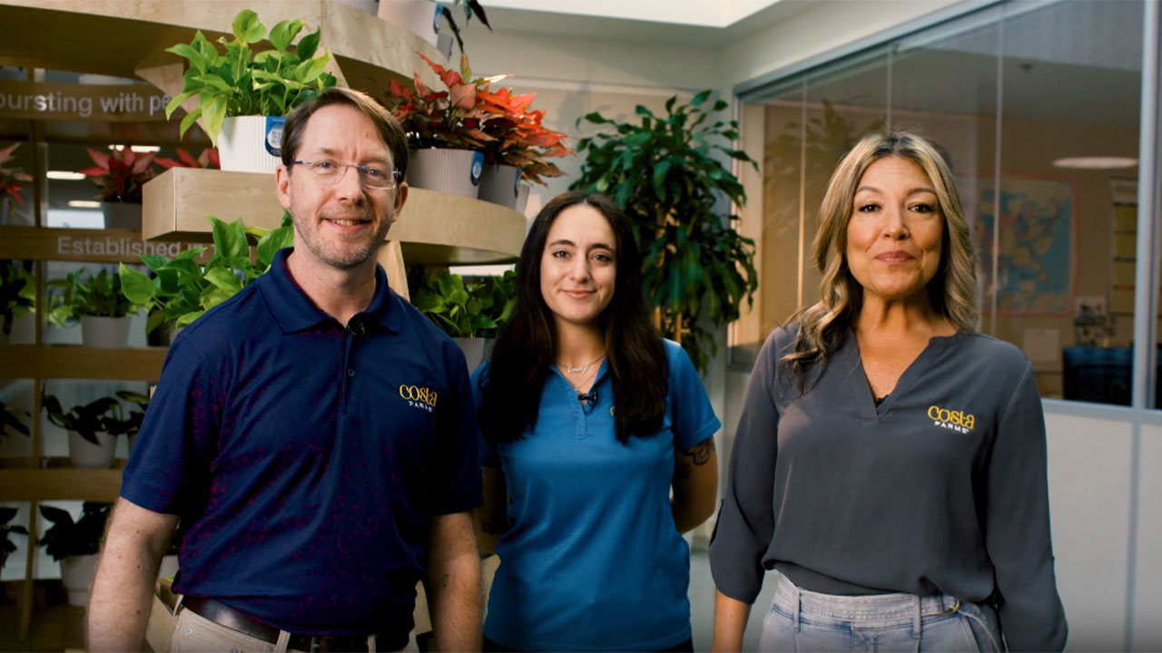 Costa Farms Named a 2026 Top Workplace by USA Today - Perishable News