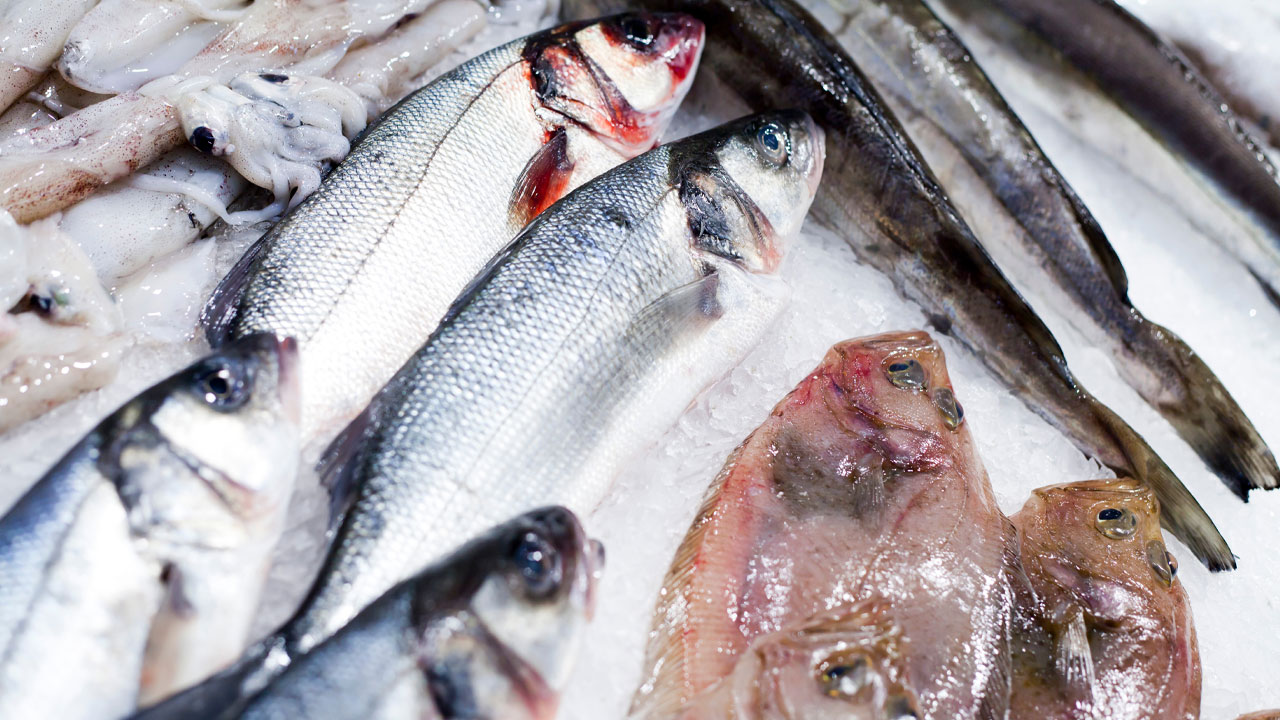 Rhode Island Fishermen Hope Upscale 'Golden' Rebrand for Scup Makes ...
